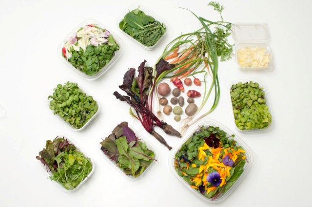 Sabores en miniatura: el furor por los vegetales baby | Buenos Aires Market