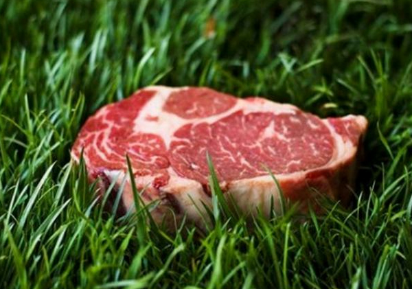 Feedlot vs. pastura: el juego de las diferencias (y de la nostalgia ...