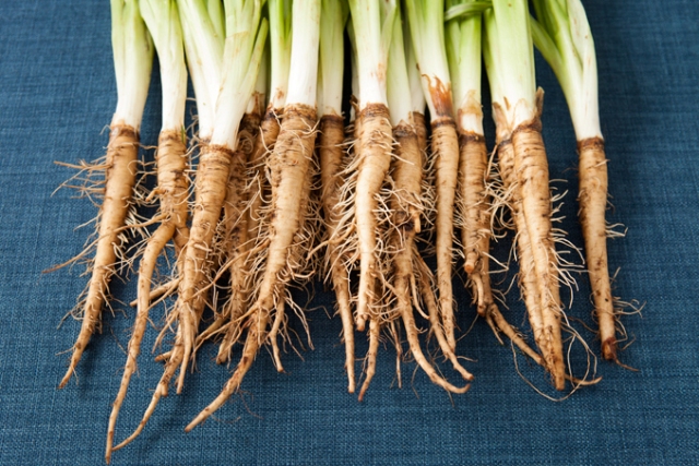 Donde conseguir los vegetales más raros, nutritivos y gourmet | Buenos ...